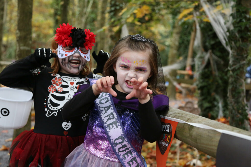 What’s on this Autumn and Halloween across Continuum Attractions ...